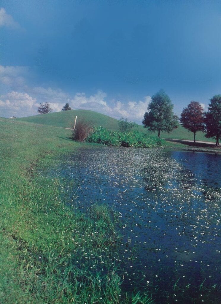 Aquatics Magazine 1996 – FAPMS